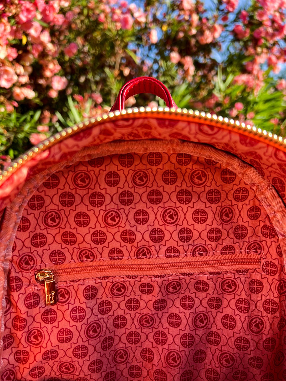 Cordy's Corner - Loungefly, Anime & Pop Culture